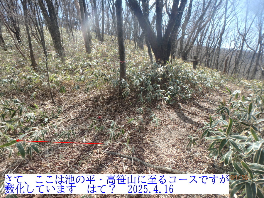 茨城県最北西の八溝山の様子: 水戸かわせみ山歩